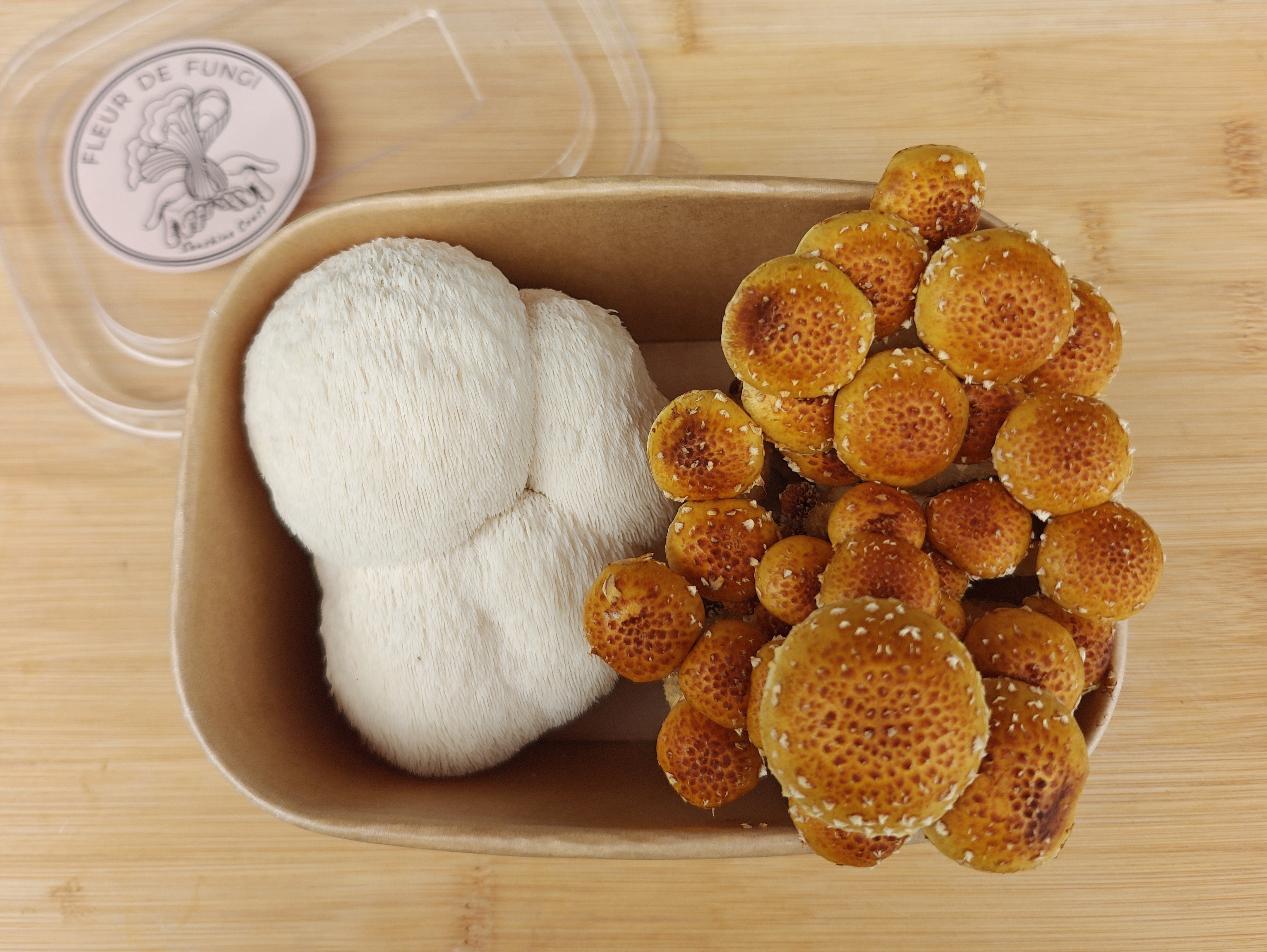 Fungi Lover's Mix – Fleur de Fungi - Sunshine Coast Gourmet Mushroom Farm
